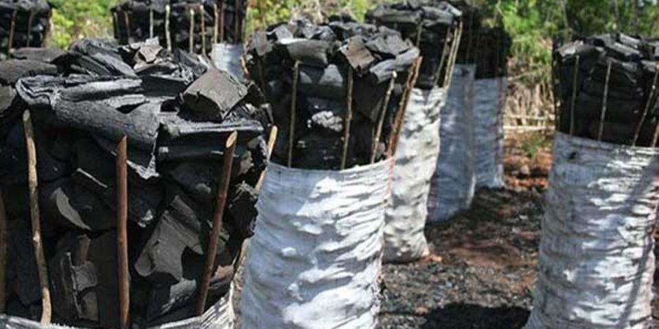 Why sustainable charcoal production is key to forest conservation | The ...
