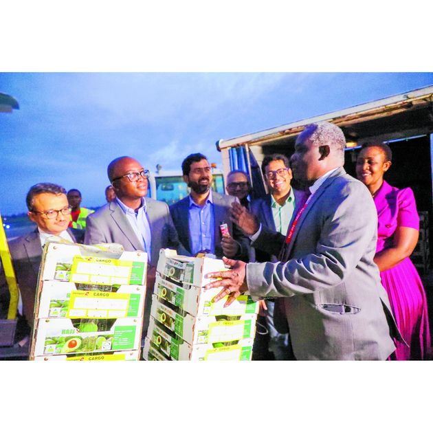 LET’S ALSO TAP VALUE CHAIN TO WIDEN OUR AVOCADO EXPORT | The Citizen
