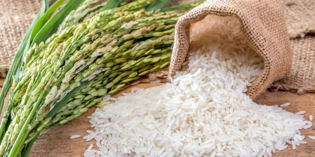 Tanzania strategises how to increase rice production as exports soar ...