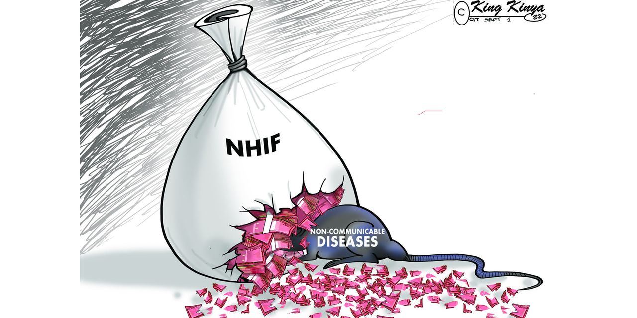 Burden of NCDs and the adverse impact on health and economy | The Citizen