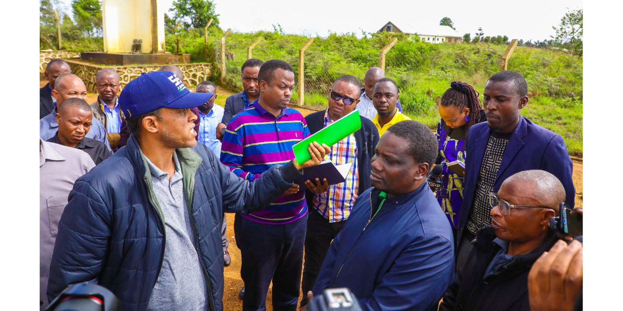 Bashe blacklists avocado buyer over harvesting immature produce | The ...