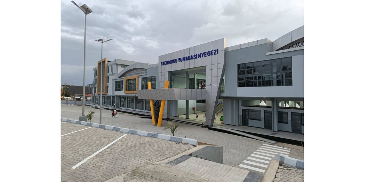 Efforts underway to turn Mwanza into a green city | The Citizen